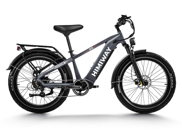 Himiway D5 (Zebra) | Premium All-terrain Electric Fat Bike ...